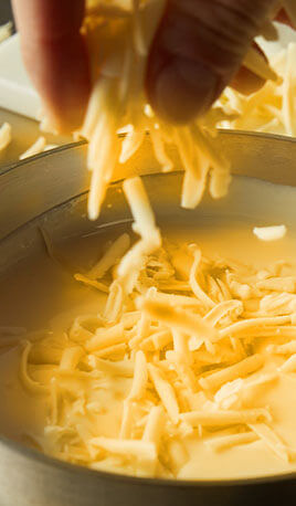 Extra Melt® Cheeses & Sauces | Land O’Lakes Foodservice